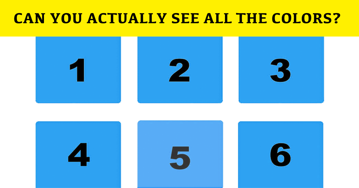Can You Actually See All The Colors? | MyDailyQuizz