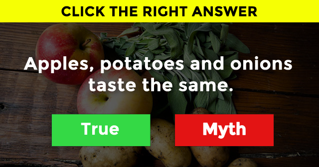 Can You Tell If These Facts Are True Or Myth? | MyDailyQuizz