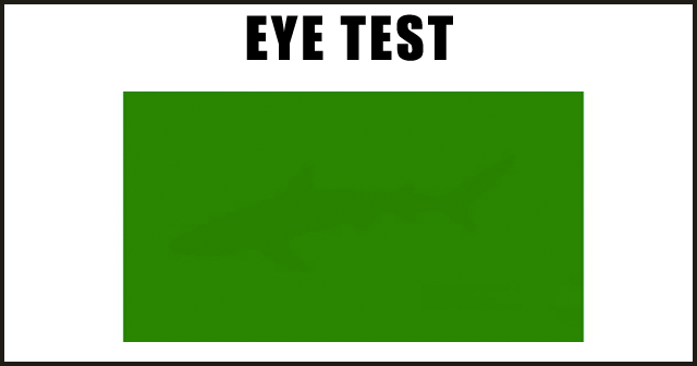 Can You Spot What’s Hidden Inside These Shapes? | MyDailyQuizz