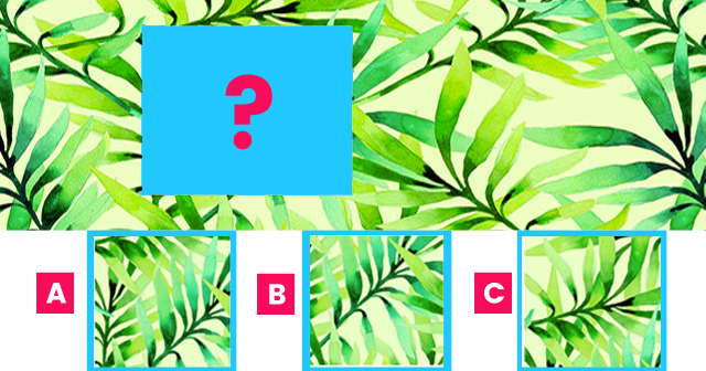 This Tricky Quiz Will Reveal If You’re Attentive To Details | MyDailyQuizz