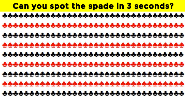 Can You Pass This Observation Skills Test? | MyDailyQuizz