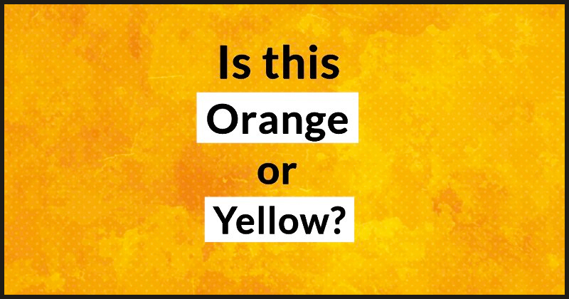 This Color Test Will Determine What Type Of Intelligence You Have ...