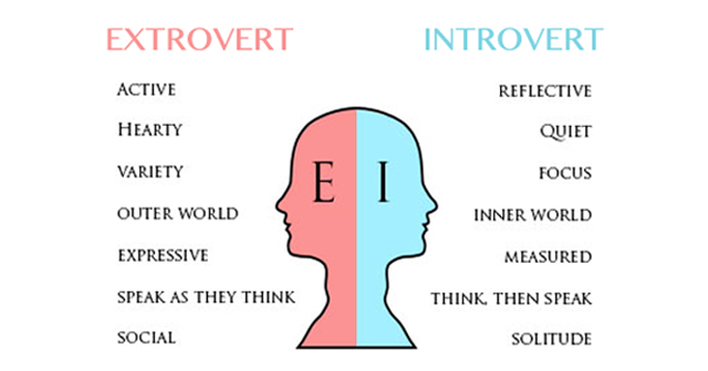 What Percentage Introvert/Extrovert Are You? | MyDailyQuizz