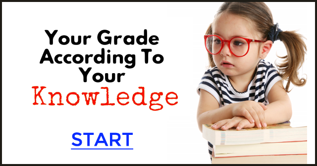 What Grade Should You Be In According To Your Knowledge? | MyDailyQuizz