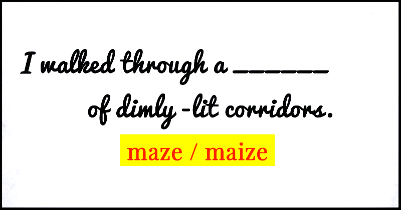 Only A Natural Born Genius Will Complete These 25 Sentences | MyDailyQuizz