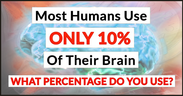 Most Humans Use Only 10% Of Their Brain. What Percentage Do You Use ...