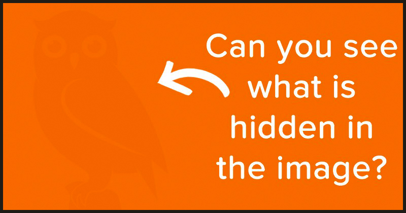 Only Introverts Can See These Hidden Images Because They Have Unique ...